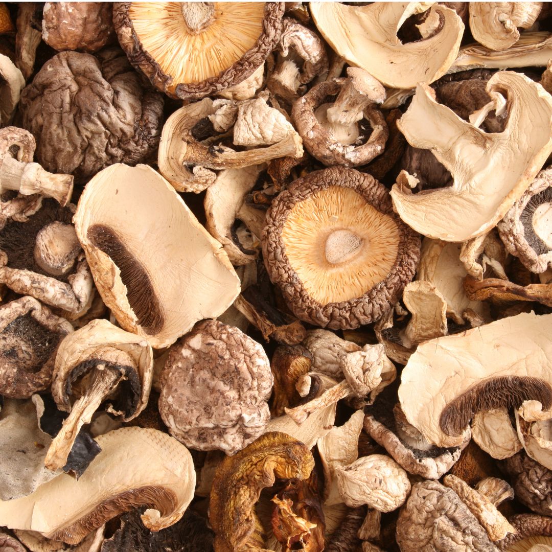 Mezcla de setas deshidratadas - La Despensa